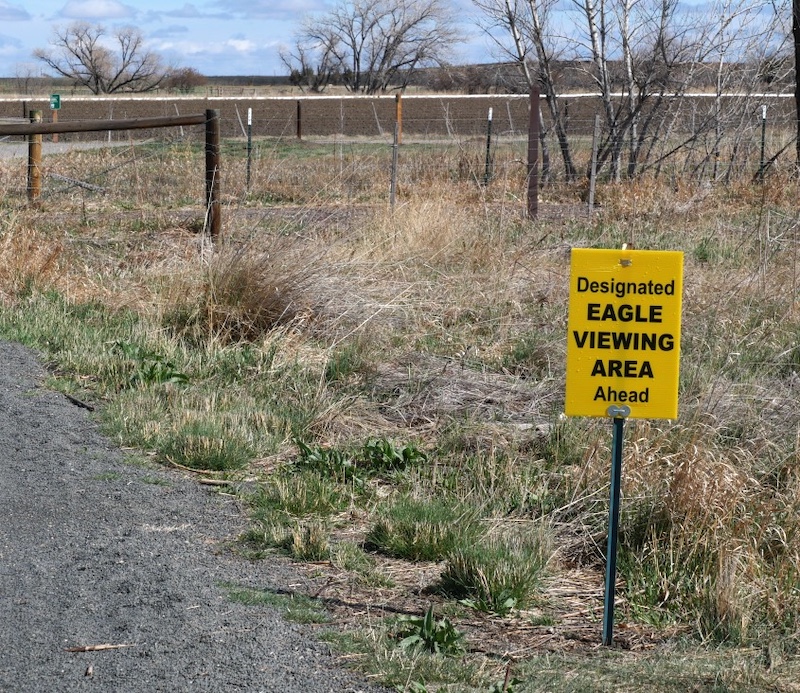Cradleboard Trail / Stearns Lake Trailhead（Broomfield） | Boulder.jp ...