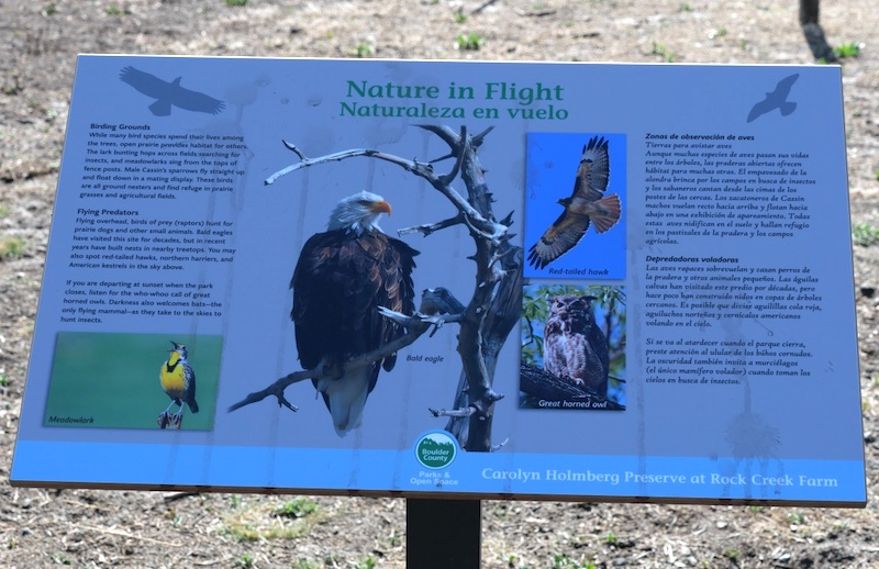 Cradleboard Trail / Stearns Lake Trailhead（Broomfield） | Boulder.jp ...